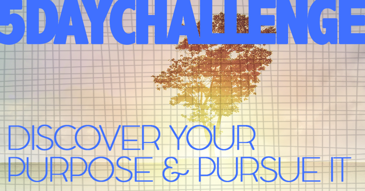 5 Day Challenge: Find Your Purpose [Confirmation] – Soul Searcher's ...